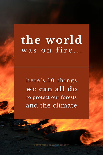 10 Ways to Combat Wildfires and Protect Our Climate – A Drop in the Ocean